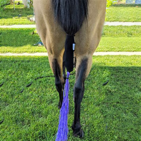 2nd Generation Tail Boot Teskeys