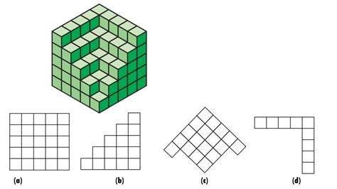 Ncert Solutions Std 5 Maths Boxes And Sketches Mathswallahpadhai