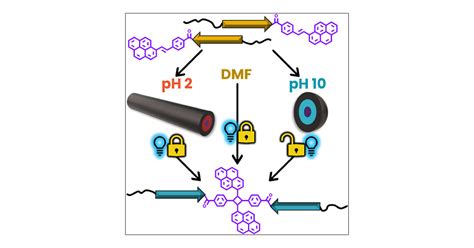 Peptide Self Assembly Controlled Photoligation Of Polymers Journal Of