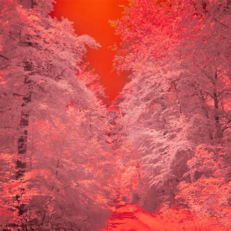 Stream Massive Attack Teardrops My Version By Grayson Wells