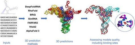 Comparative Analysis Of Rna 3d Structure Prediction Methods Towards