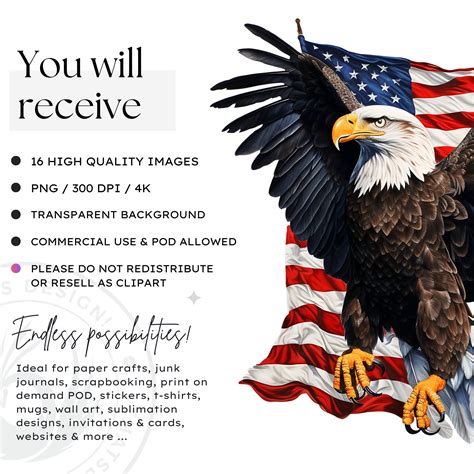 Patriotic Bald Eagle Clipart Png Bundle American Pride Png Etsy