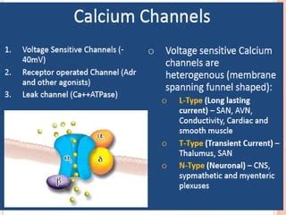 Angina Pectoris And Cc Bs PDF