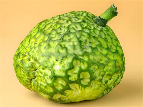 Green Bumpy And Wrinkled Fruit With A Stem Realistic Photo Stock Illustration Illustration