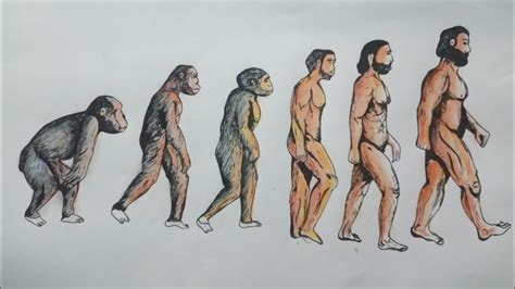 Art Of Human Evolution By Crayon Colours Youtube
