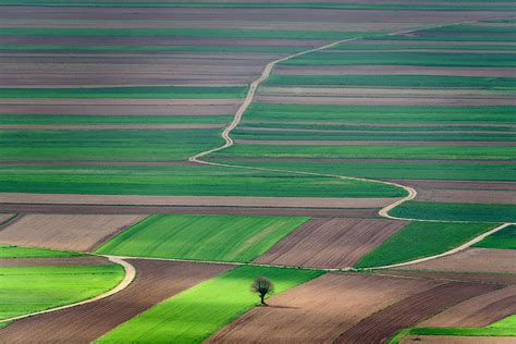 Photograph By Rafael Kos Fine Art America