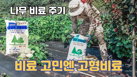 조경용 고형비료 주기 나무 비료 고민엔 고형비료 오래가는 영양제 YouTube