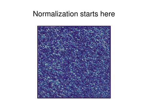 ppt microarray data analysis normalization powerpoint presentation