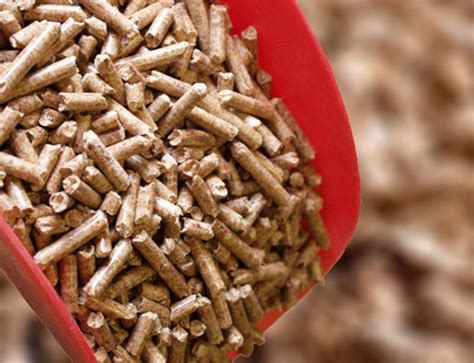 Torrefaction Superior Pretreating Method For Biomass Fuel Pellets