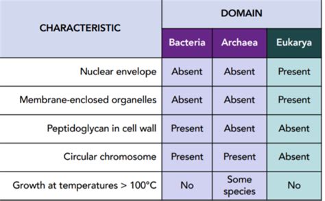 Cels Module 4 Microbiology Flashcards Quizlet