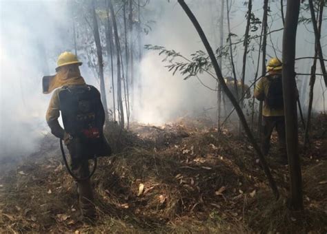 Conaf Se Prepara Para Compleja Temporada De Incendios Forestales