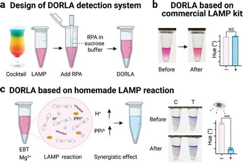 Fully Integrated Microfluidic Platform For Multiplexed Detection Of Hunov By A Dynamic Confined