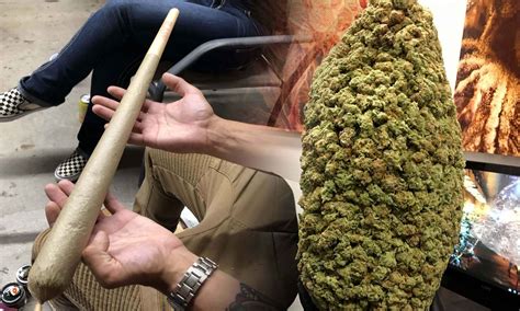Most Weed Ever