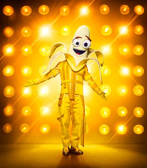 The Masked Singer Season 3 2020 Premiere Costumes Contestants