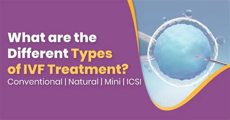 What Are The Different Types Of Ivf Treatment Crysta Ivf