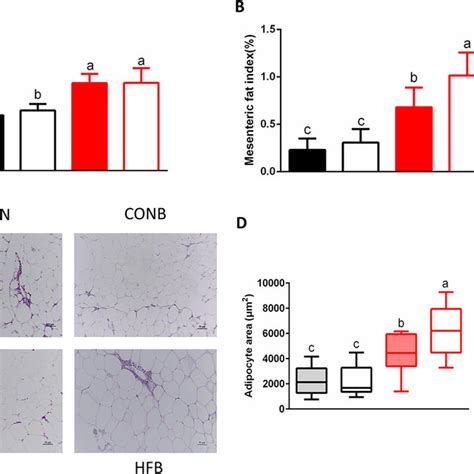 Triglyceride Absorption And Reesterification In The Four Experimental