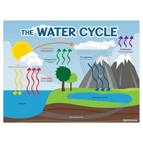 Simple Water Cycle Display Poster Teacher Made Twinkl 40 Off