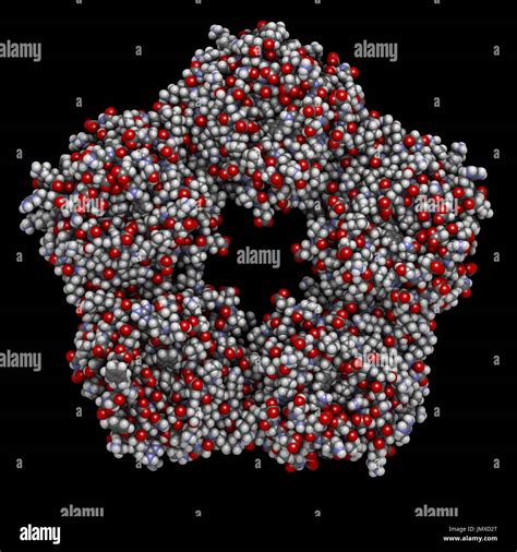 C Reactive Protein Crp Human Inflammation Biomarker Protein