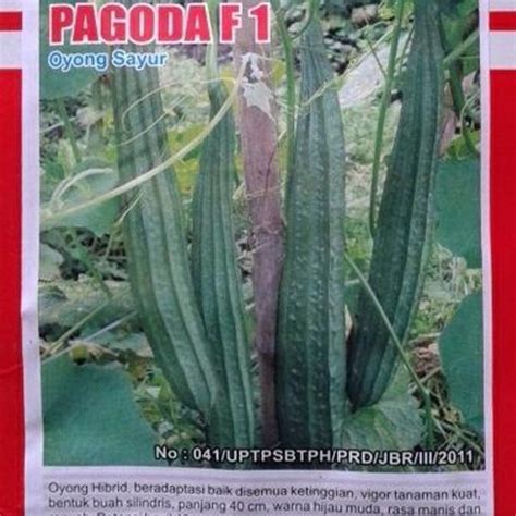Jual Isi 3 Benih Oyong Pagoda Biji Bibit Sayur Gambas Shopee Indonesia