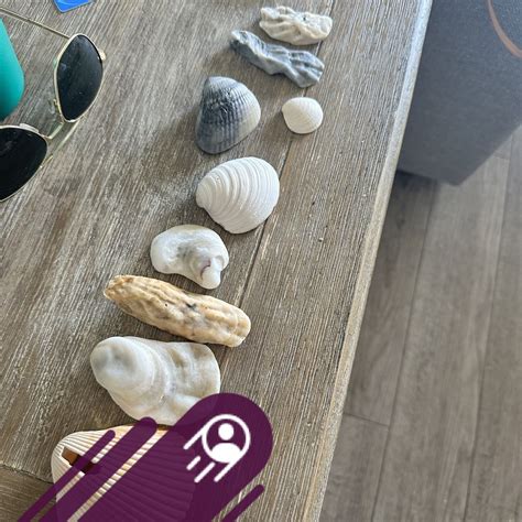 Cory Everson Some Times When Your Training You Have To Stop And Reflect On Your Past