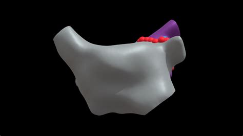 Lspv Gap Fullgray 3d Model By Drj Drjameswinter C8ef5a3 Sketchfab