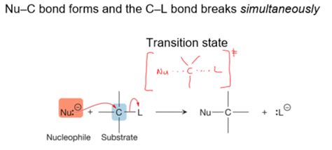 Organic Chemistry Flashcards Quizlet