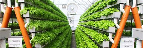 Commercial Hydroponics Australia Farmtek® Australia