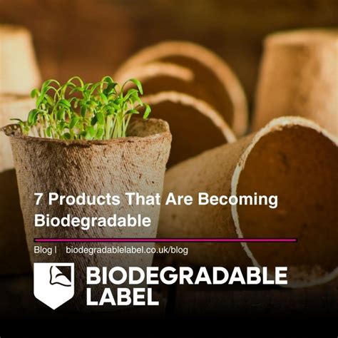 7 Products That Are Becoming Biodegradable Biodegradable Label