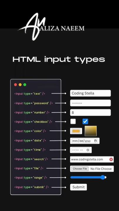 Html Input Types Explained A Beginners Guide Shorts Viral