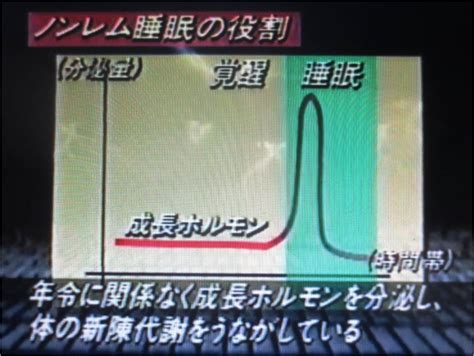 睡眠と成長ホルモン 脳科学ブログ（教育への架橋）