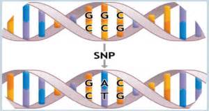 The GATK Best Practices For Variant Calling On RNAseq RNA Seq Blog