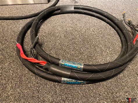 Acoustic Zen Satori Shotgun Speaker Cable 6ft Photo 4049591 Canuck