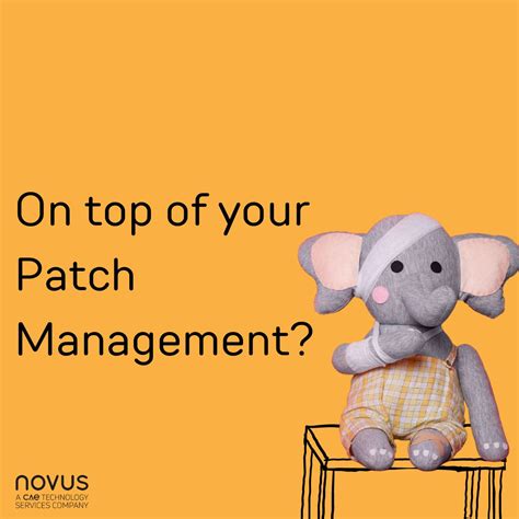 Novus On Linkedin Itcompany Patchmanagement Cybersecurity
