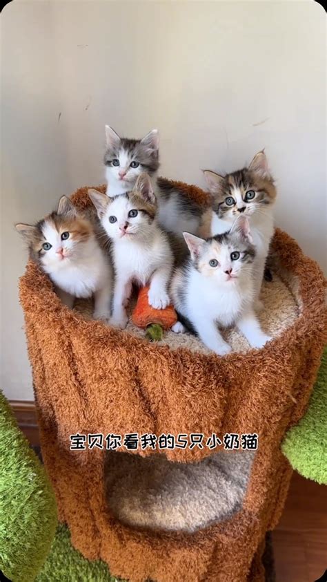 可魯鴨日常 可魯可這次是真的很生氣 追蹤 Keluya113 查看更多🦴 萌寵 毛小孩 狗狗日記 養貓日記 鏟屎官 Instagram