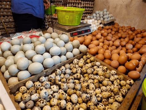 Types Of Duck Eggs