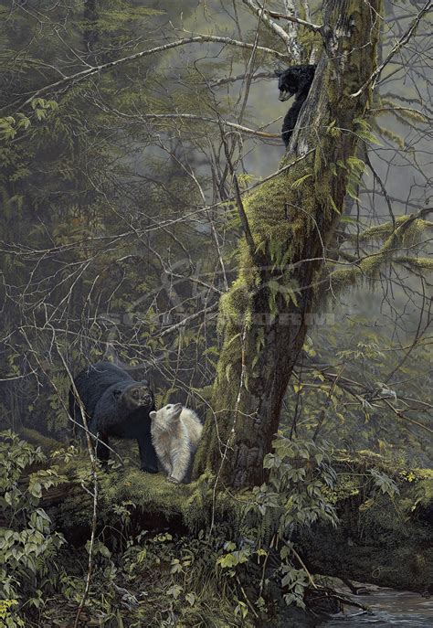 Reproduction Artwork — Scot Storm Wildlife Art
