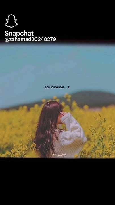 Suni H Tujh Bhi Duniya Meri 😇viralvideo Love Yutubeshorts Youtube