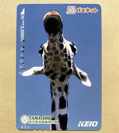 【やや傷や汚れあり】【使用済】 パスネット 京王電鉄 東京都多摩動物公園 キリンの落札情報詳細 ヤフオク落札価格検索 オークフリー