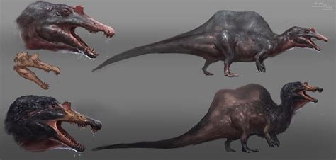 Spinosaurus Concept Sketches By Raphtor On Deviantart