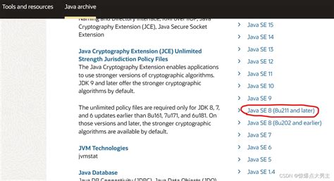 1 手把手超详细从零安装JavaJDK并配置好环境 CSDN博客
