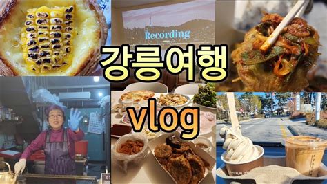 강릉여행vlog 먹으러간 여행 숙소 추천 그리다강릉중앙시장꾸옥갤러리밥스초당옥수수커피오징어순대나라아바이순대오징어순대김치말이삼겹감크탕김피탕회방어
