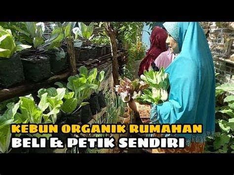 Bertani Di Halaman Rumah Sendiri - Arli Blog