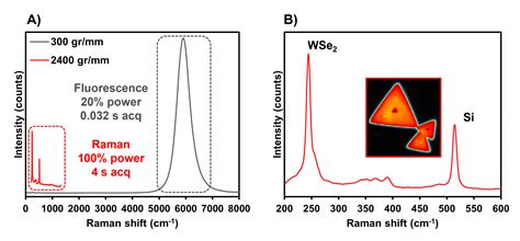 Fluorescence In Raman Spectroscopy At Marcus Riedel Blog