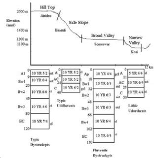 Schematic Diagram Of Landscape Soil Relationship Of The Study Area Download Scientific Diagram