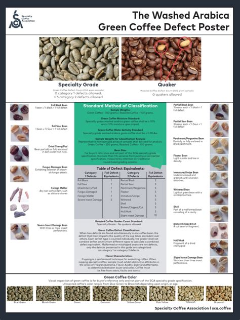 Green Coffee Defect Classification Poster Final Eng 2018 Pdf
