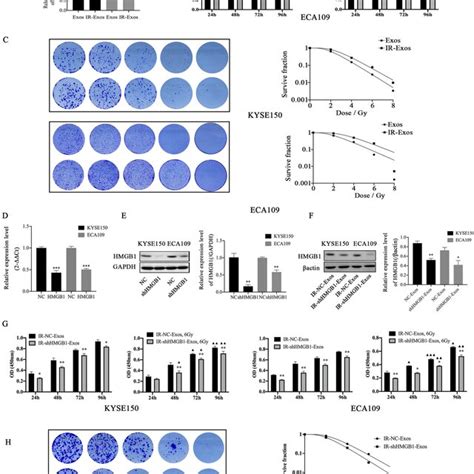 Plasma Exosomes Characterization And Relationship Between Exosomal