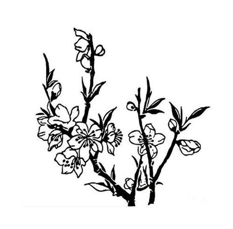 桃花怎么画简笔画图 简笔画图片大全 蒲城教育文学网