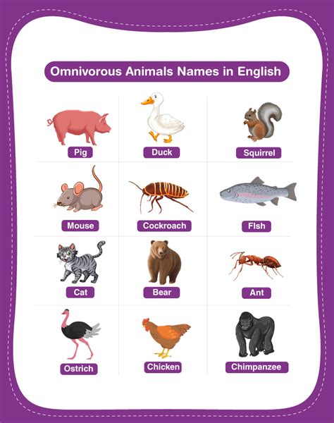 Omnivorous Animal Names Explore The List Of 20 Names In English