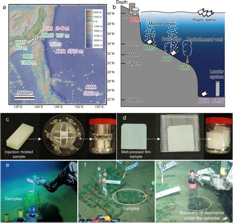 Microbial Decomposition Of Biodegradable Plastics On The Deep Sea Floor