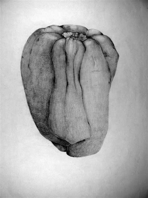 Analytical Drawing On Behance